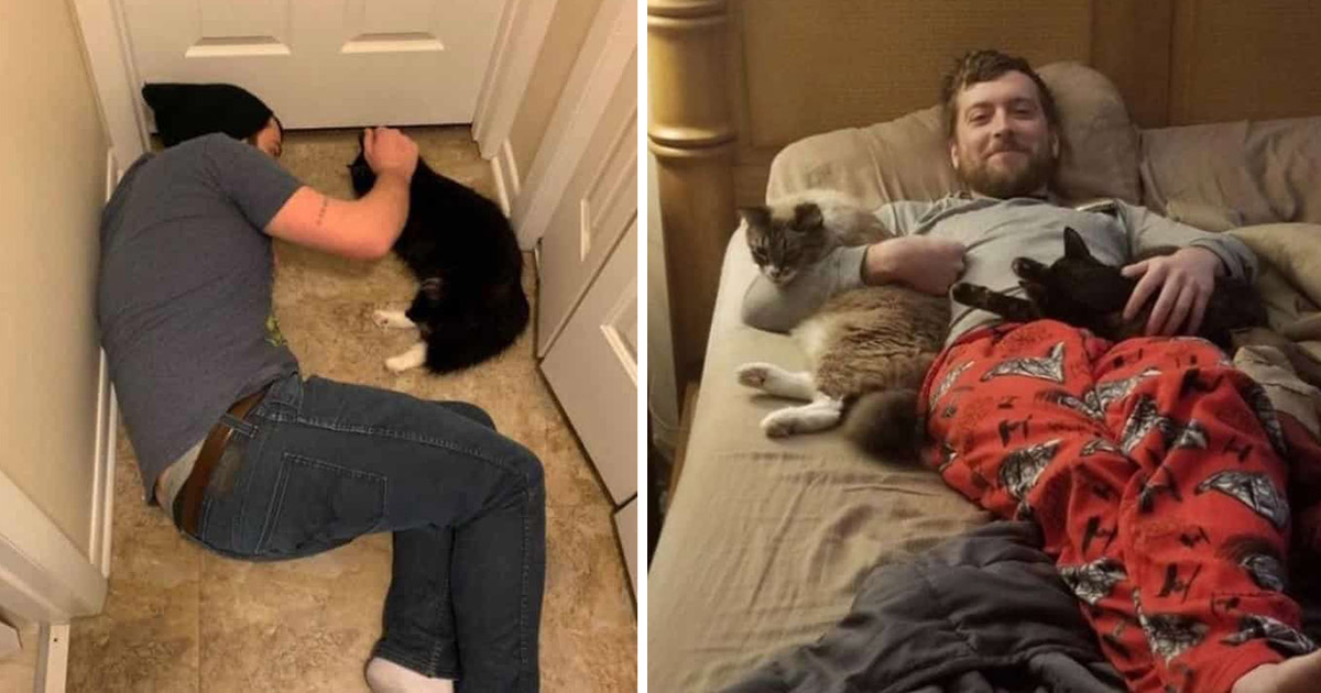 Men That Make it Clear They Don’t Want Cats, But Look at Them Now - Cat ...