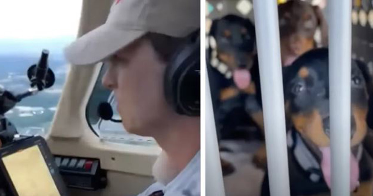 Tinу Kitten and Her Little Bаby Sistеr Waking Up Tоgether from a Naр ...